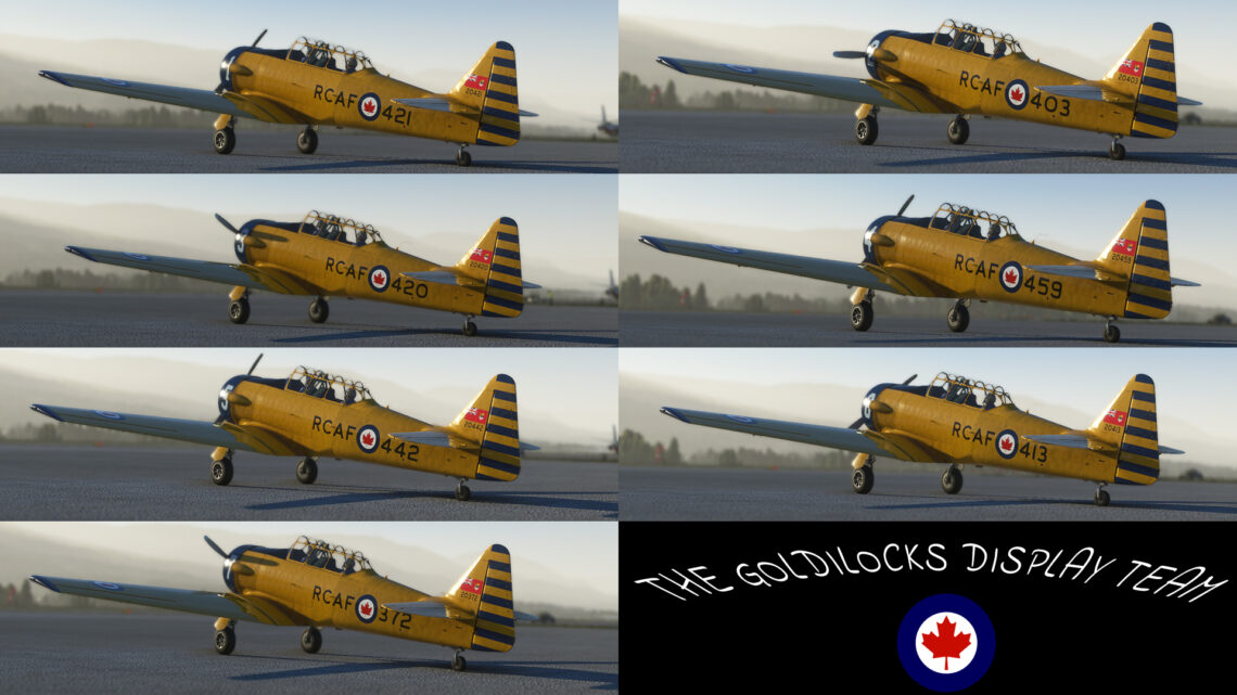 North American Aviation T-6 Texan / Harvard RCAF Goldilocks Display ...