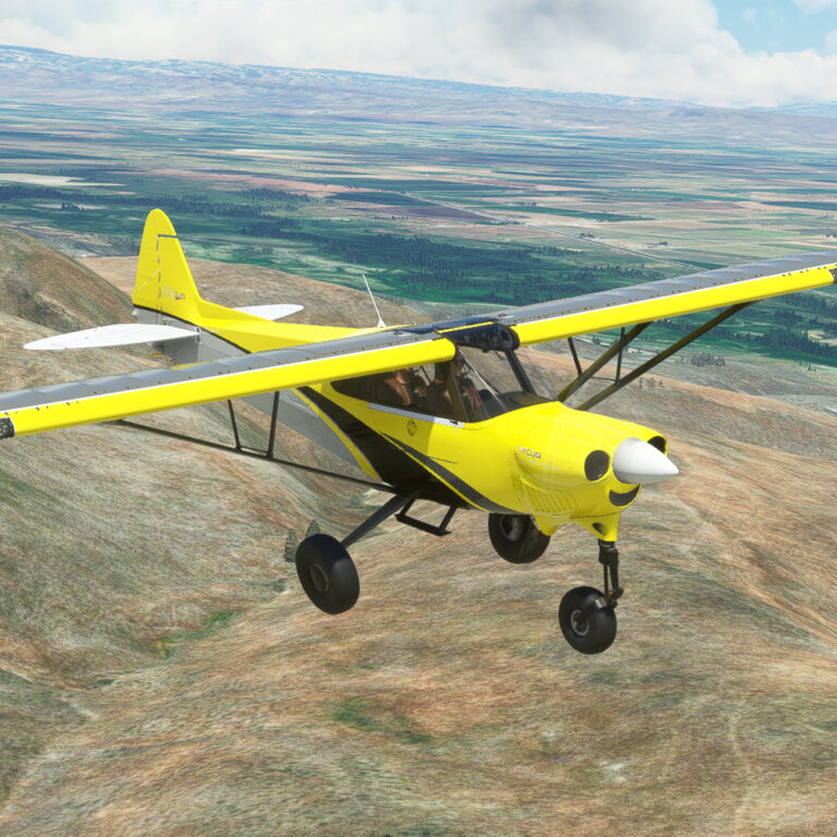 Cub Crafters NXCub Signature X Factory Liveries – Novawing24